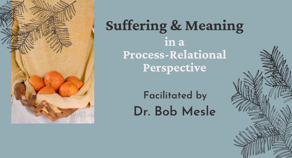 Suffering & Meaning | Cobb Institute