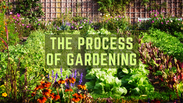 An Introduction To Gardening From a Process Perspective